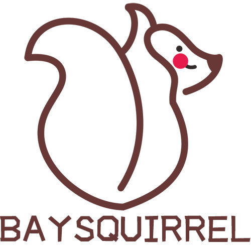 Login – BAYSQUIRREL is devoted to making your life smarter and brighter.